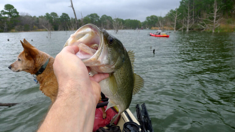 The Absolute Best Time to Visit Bear Lake - Bear Lake Luxury Rentals